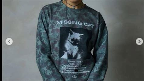 Woman Flooded With Calls About Nonexistent Cat Due To A T Shirt