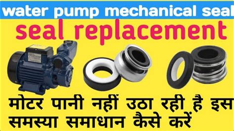 05 Hp Motor Seal Replacement Water Pump Seal Installation Water