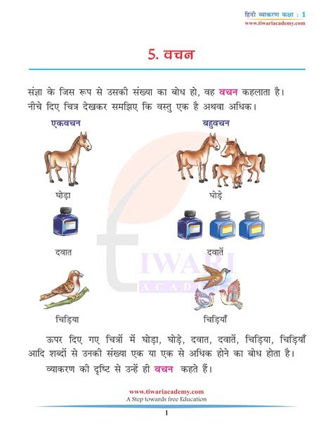 एनसीईआरटी समाधान कक्षा 1 हिंदी व्याकरण अध्याय 5 वचन एकवचन बहुवचन