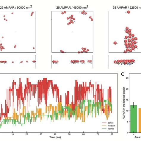 Molecular Assembly Dynamics For The Mixture Of 50 Palmitoylated Psd 95