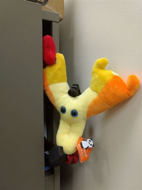 Antigen The Webb Design