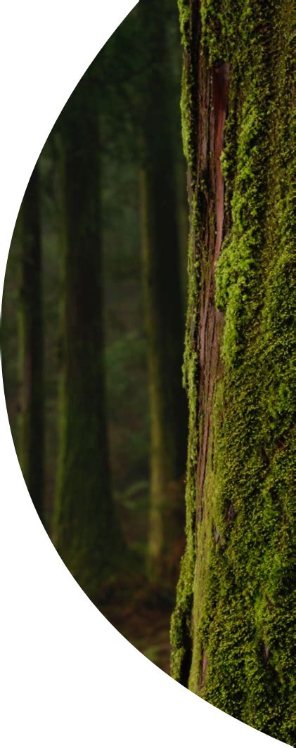 Sustainability And Certifications Roxcel Trading Unlocking Forward