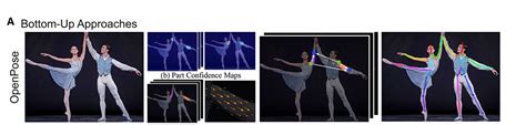 Evolution Of Motion Tracking From Manual To Automated Viso Ai