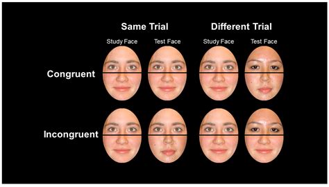 Measuring The Contributions Of Perceptual And Attentional Processes In