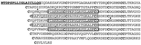 Primary Translation Sequence Of Recombinant Tt50 Amino Acids Are Given Download Scientific
