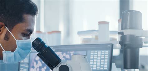 Apoe4 Gene And Alzheimers Disease Bhi