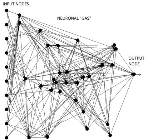 The Schematic Structure Of Homogenous Perceptron Right Compared With