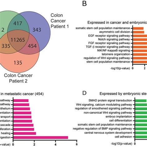 Comparative Microarray Transcriptome Analysis Of Genes Expressed In Download Scientific Diagram