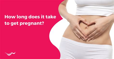 How Long Does It Take To Get Pregnant Understanding The Conception Ti