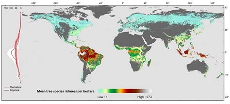 Tree Biodiversity Map Of The World Mapporn