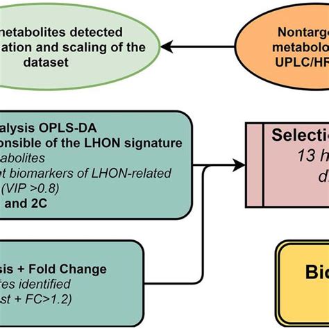 Metabolomics Workflow Steps Of Sample Processing And Statistical