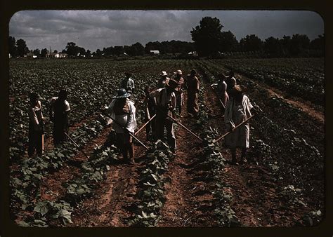 19 Amazing Color Photos Of American Farmers In The Early 1940s