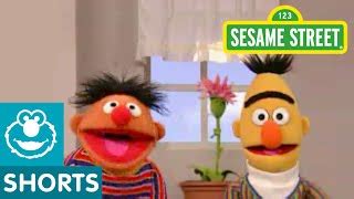 Sesame Street Bert And Ernie Songs Compilation Dance Myself To Sleep