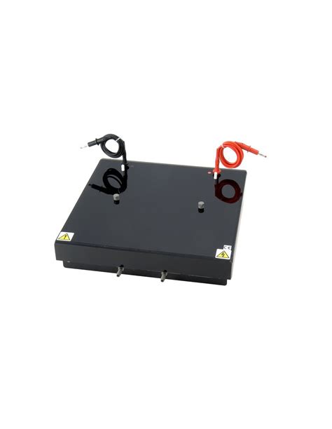 Comet Assay Electrophoresis System At Deborah Grant Blog