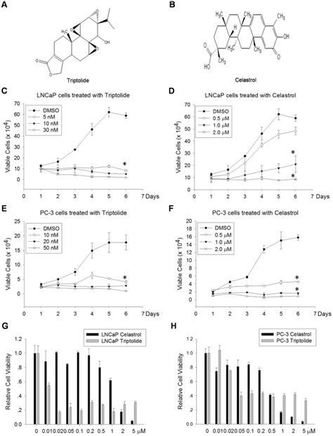 A And B The Chemical Structure Of Triptolide A And Celastrol B