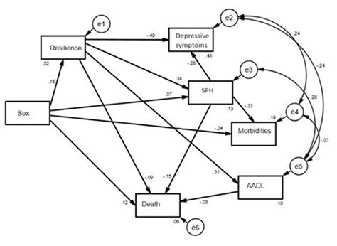 Scielo Brasil Resilience And Mortality In Older Adults Structural Equation Analysis