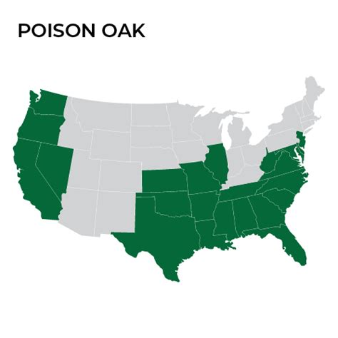 Across The Map Uncovering The Geographical Distribution Of Poison Ivy