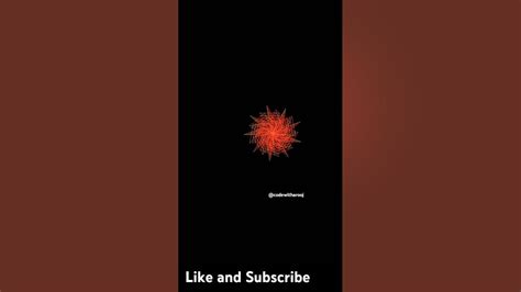 Flower Python Pythontutorial Pythonprogramming Beautiful Flowers