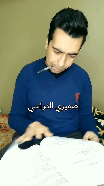 كلب لولو 🐶 Youtube