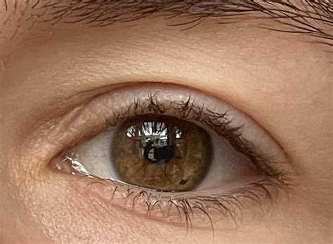 Same Eye Different Light Reyes