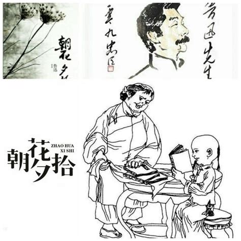 朝花夕拾手绘插画本 朝花夕拾手绘插图简笔画 博物迷