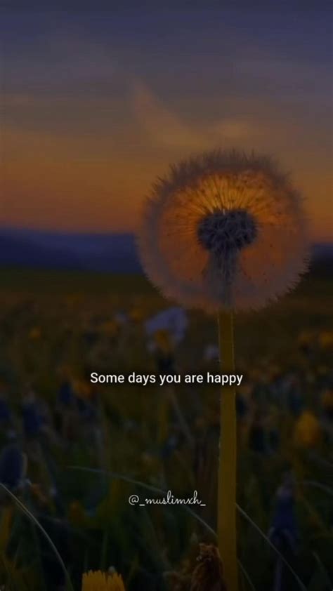 Pin By Abdul Waheed Khan On Cute Wallpapers Free Funny Videos Cute