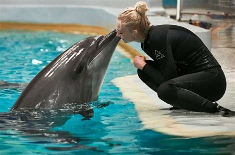 What Is The Scientific Name Of Dolphin
