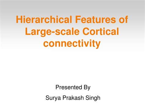 PPT Hierarchical Features Of Large Scale Cortical Connectivity PowerPoint Presentation ID
