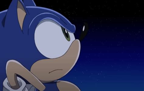 Silence The Hedgehog Shadow The Hedgehog Sonadow Wiki