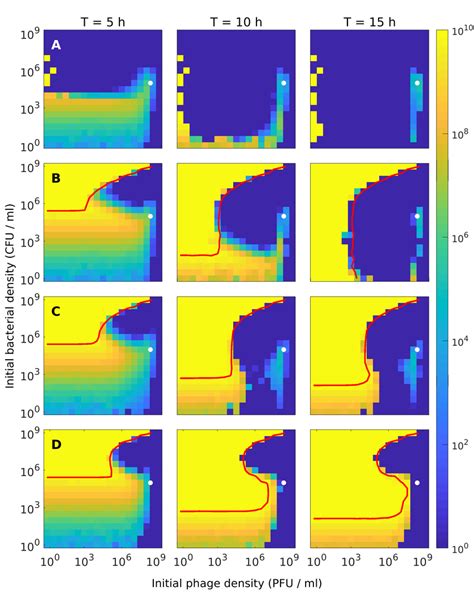 Phase Space Plots Of The Surviving Bacteria The Color Shows The Total