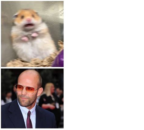 Create Meme A Scared Hamster Meme Hamster Is A Funny Meme A Scared