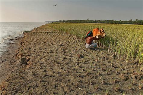 Din Muhammad Shibly Displacement Uncertain Journeys