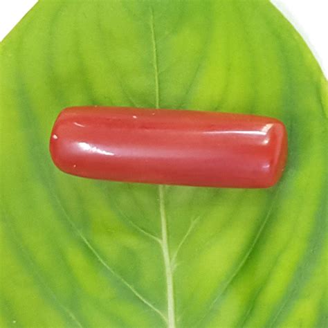 Moonga Red Coral Gem Selections