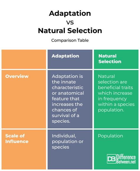 Adaptation Vs Natural Selection Difference Between