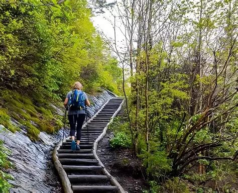 5 Tips For Hiking In The Great Smoky Mountains By Yourself