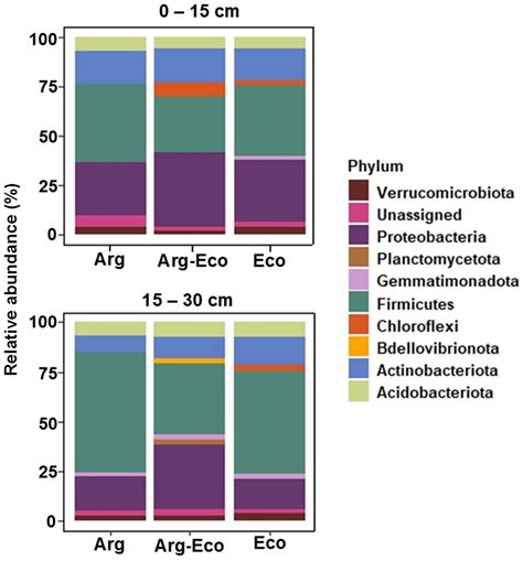 Frontiers Metagenomic Analysis Reveals Bacterial And Fungal Diversity