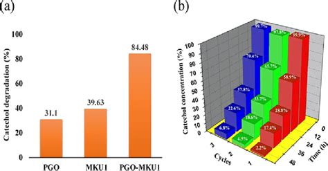 A Comparative Analysis Of Catechol Degradation By Paracoccus Sp Mku1 Download Scientific