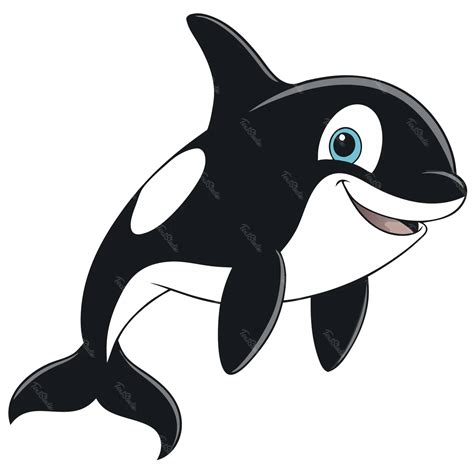 Orca New Illustrator Vectors And Photoshop Psd Files Free Download