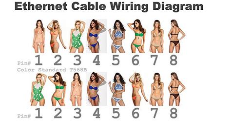 Ethernet Cable Wiring Diagram Imgur