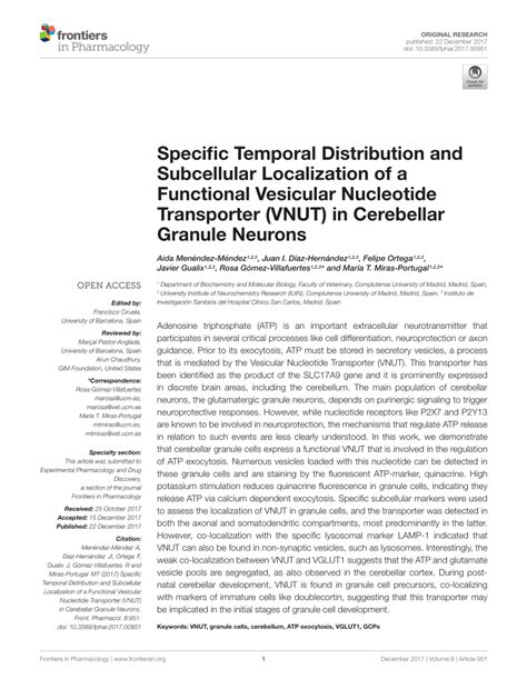 Pdf Specific Temporal Distribution And Subcellular Localization Of A
