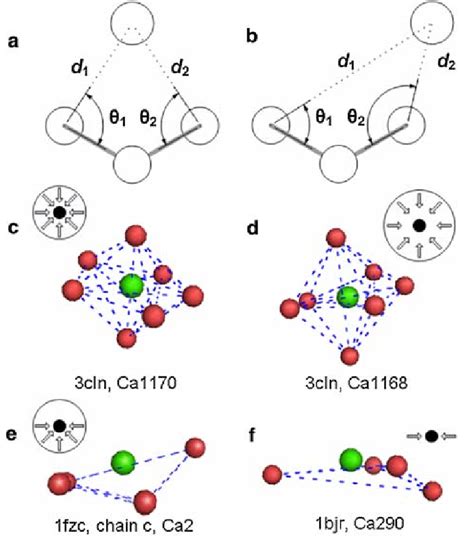 A Symmetrical Bidentate Structure And B Monodentate Structure Where The