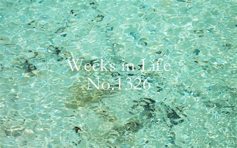 【日常】我的九寨沟黄龙之旅 Retgreen Retgreen 哔哩哔哩视频