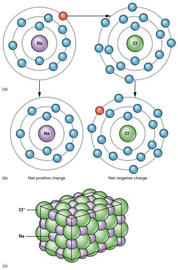 Energy And The Chemical Bond Integrated Human Anatomy And Physiology