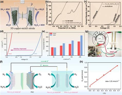 Coupling Her With The Hydrazine Oxidation Reaction A Schematic
