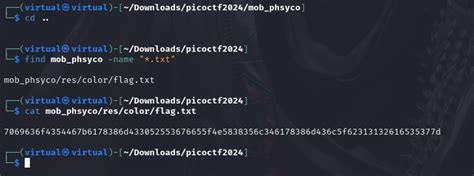 picoctf 2024 trickster challenge solve by virtu4l medium