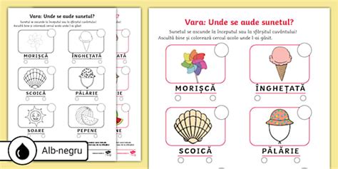 Vara Unde Se Aude Sunetul Fișă De Activitate