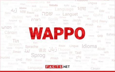 14 Captivating Facts About Wappo
