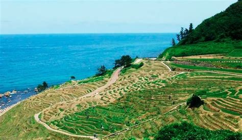 How Geography Affects Population Density And Distribution Geolutins