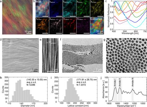Static Characterization Of Naturally Sourced Soft Photonic Crystals A Download Scientific