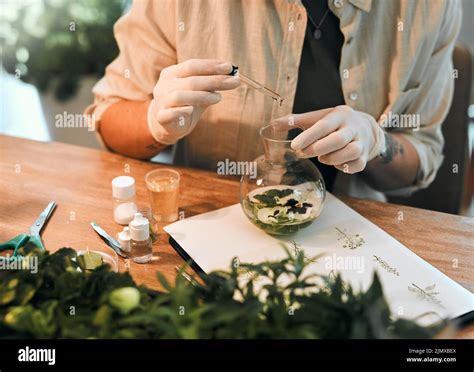 Liquid Nutrients Are Absorbed Faster By Plants An Unrecognizable Botanist Adding A Liquid